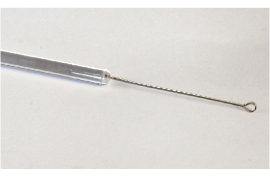 LOOP WITH GLASS HANDLE – Practical Mediscience