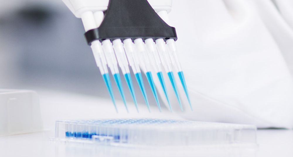 Collections – Practical Mediscience