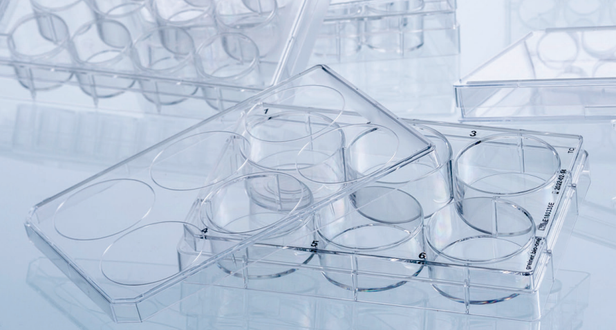 Cell Culture – tagged "Multiwell Plate" – Practical Mediscience