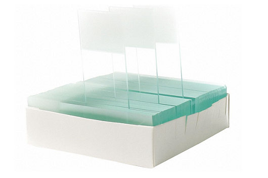 Histology – tagged "Regular Microscope Slide" – Practical Mediscience